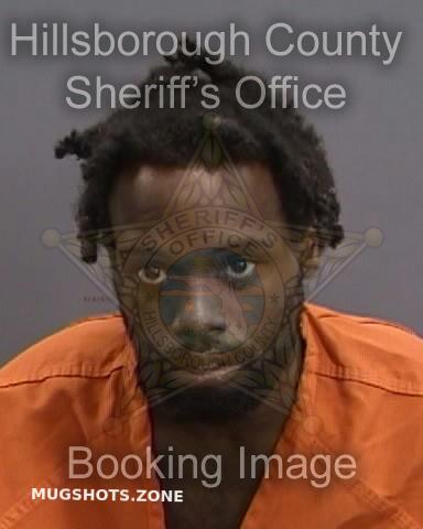 DAVIS MICHAEL JR 08/01/2025 - Hillsborough County Mugshots Zone