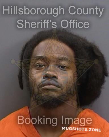 HAMILTON ANDREW 08/02/2025 - Hillsborough County Mugshots Zone