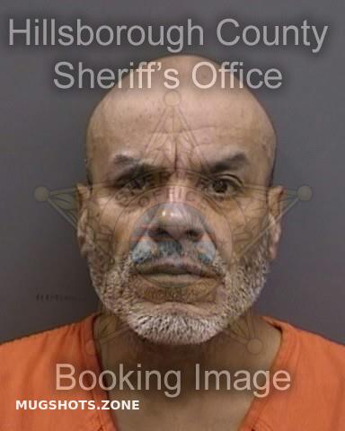 ORTA RICHARD 08/04/2025 - Hillsborough County Mugshots Zone