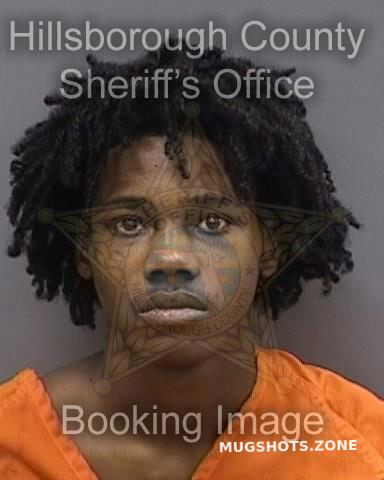 RICKS AYDEN 08/10/2025 - Hillsborough County Mugshots Zone