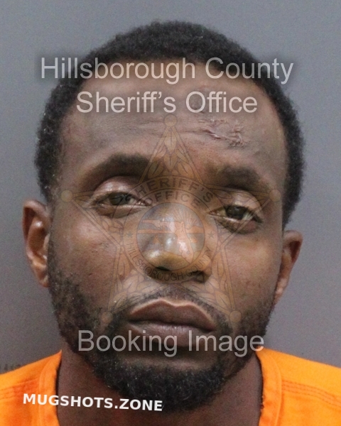 THOMAS SIM III 08/23/2025 - Hillsborough County Mugshots Zone