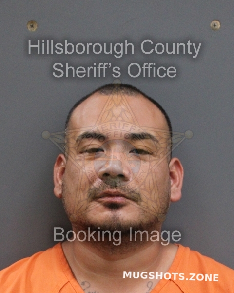 JARAMILLO RAMON III 08/27/2025 - Hillsborough County Mugshots Zone