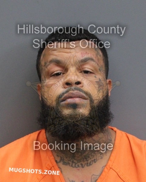 CARABALLO MARTIN JR 08/28/2025 - Hillsborough County Mugshots Zone