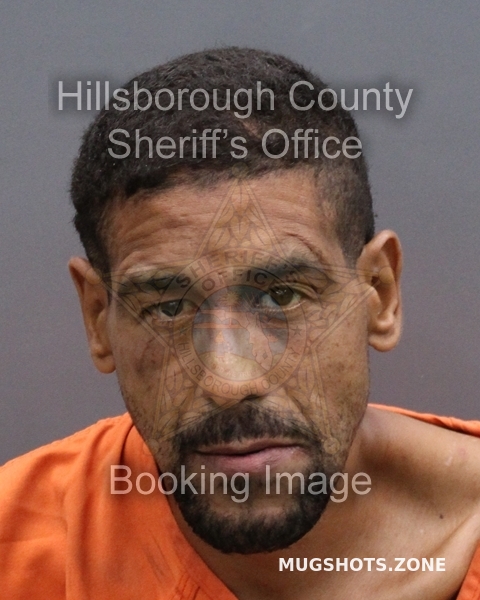 RUIZ CHRISTIAN 08/28/2025 - Hillsborough County Mugshots Zone