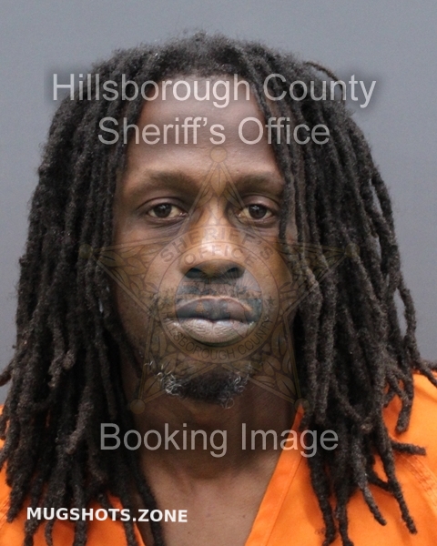 RIGGINS ALAN 08/28/2025 - Hillsborough County Mugshots Zone