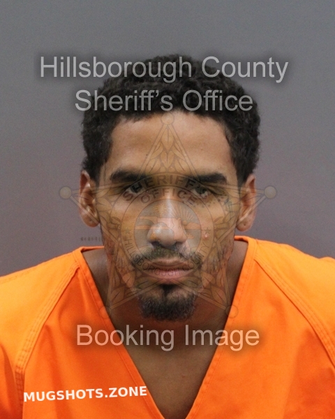 RIVERA OCASIO SAMUEL 09/10/2025 - Hillsborough County Mugshots Zone