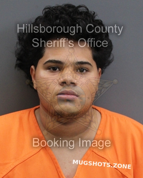 TAYLOR GAVIN 09/12/2025 - Hillsborough County Mugshots Zone