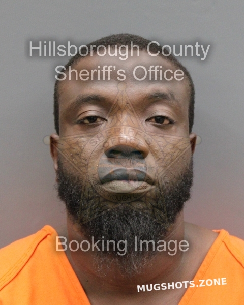 DAVIS DAVE II 09/20/2025 - Hillsborough County Mugshots Zone