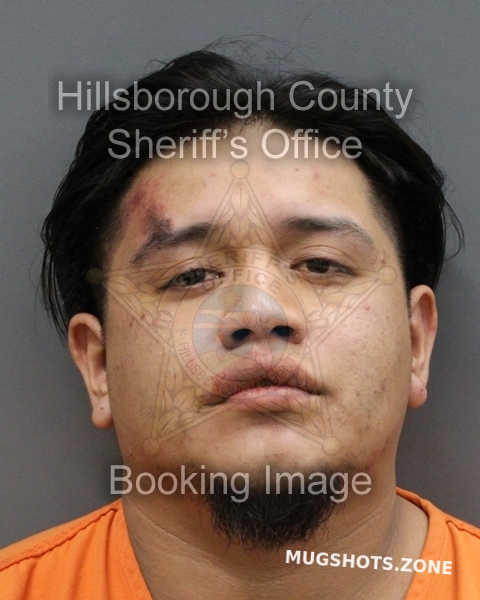 LEYVA ANGEL 09/20/2025 - Hillsborough County Mugshots Zone