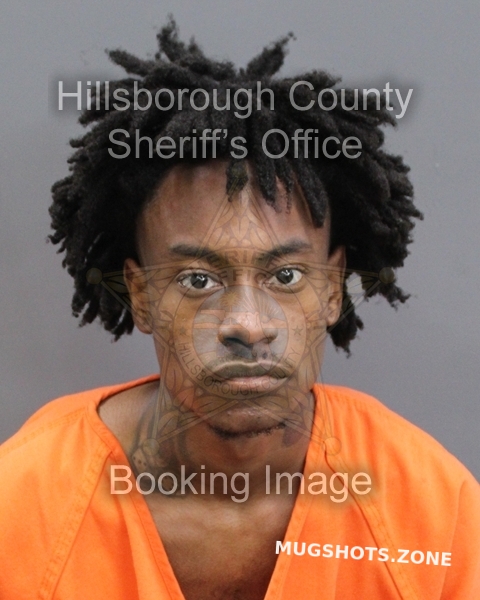 WHITE DILLON 09/26/2025 - Hillsborough County Mugshots Zone