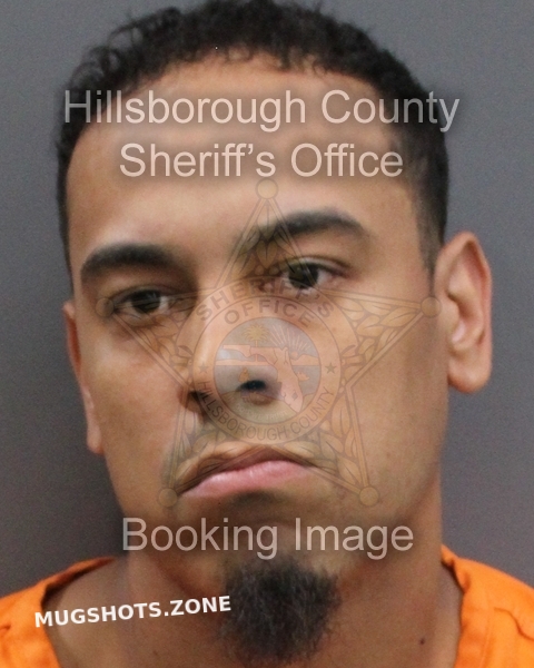 OLMEDA DE JESUS MICHAEL 09/30/2025 - Hillsborough County Mugshots Zone