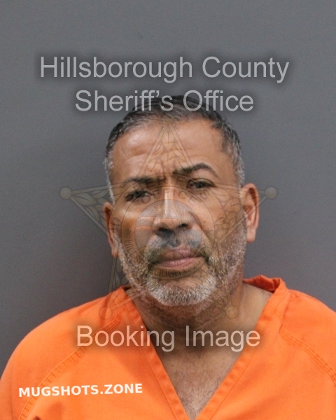 ALICEA ENRIQUE 10/02/2025 - Hillsborough County Mugshots Zone