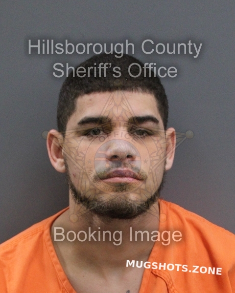 PEZZULICH NICHOLAS 10/06/2025 - Hillsborough County Mugshots Zone