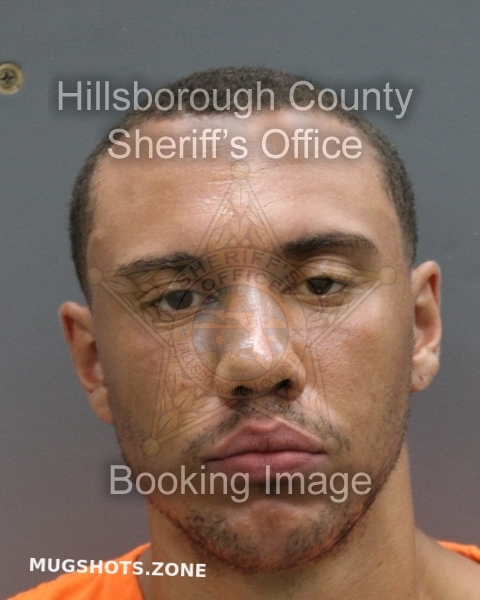 MCKINNEY ALEC 10/10/2025 - Hillsborough County Mugshots Zone