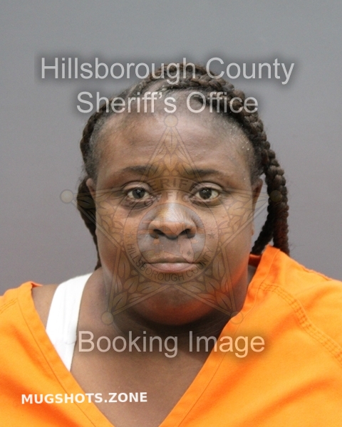 DAVIS BRIENNA 10/15/2025 - Hillsborough County Mugshots Zone