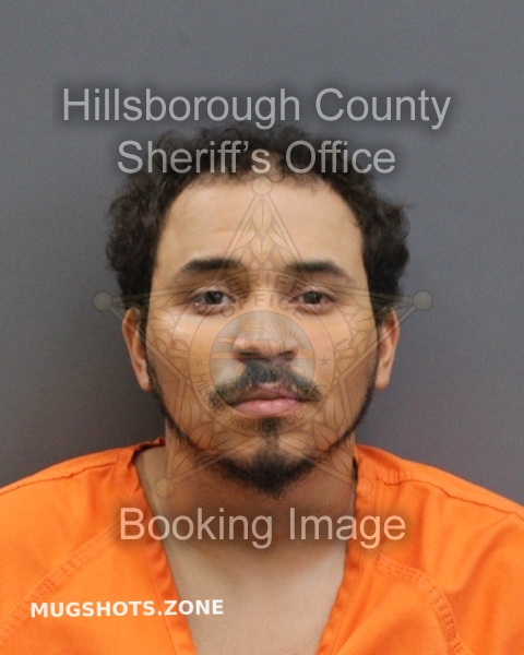 FLORES FERNANDO 10/15/2025 - Hillsborough County Mugshots Zone