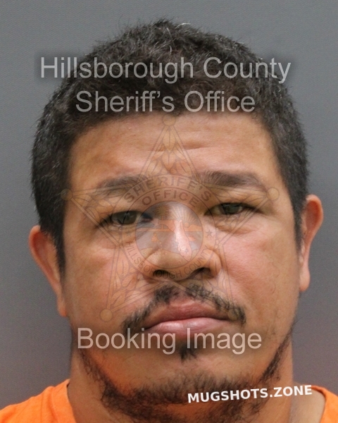 JARQUIN JEREZ NESTOR 10/22/2025 - Hillsborough County Mugshots Zone