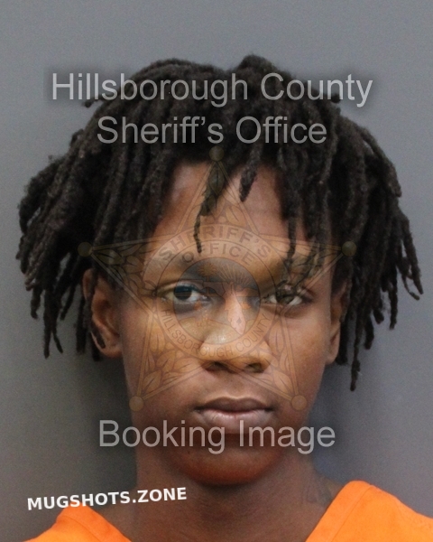 WHITT ROBBIE 10/22/2025 - Hillsborough County Mugshots Zone