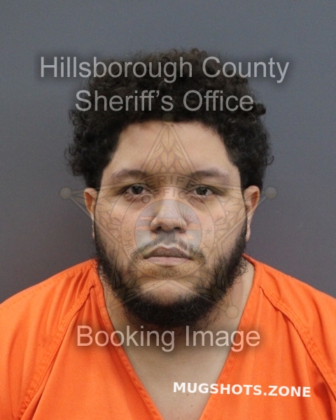 RAMOS NICHOLAS 10/25/2025 - Hillsborough County Mugshots Zone