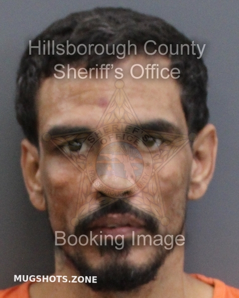 ROMAN MIRANDA JUAN 10/28/2025 - Hillsborough County Mugshots Zone