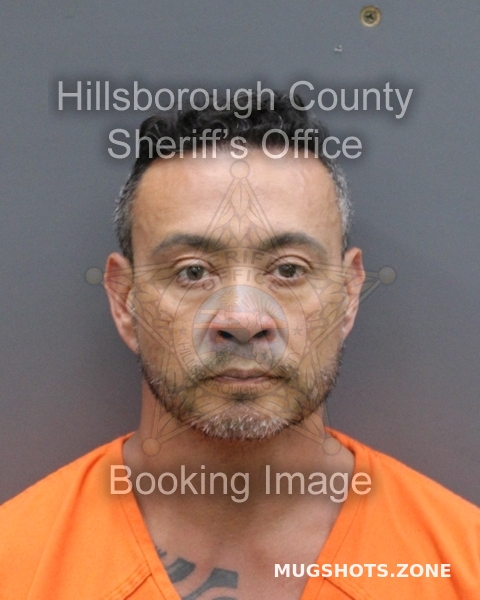 LA BARBERA STEVEN 10/29/2025 - Hillsborough County Mugshots Zone