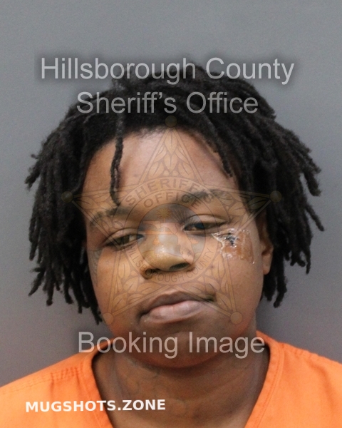 MOBLEY SUMMER 11/01/2025 - Hillsborough County Mugshots Zone