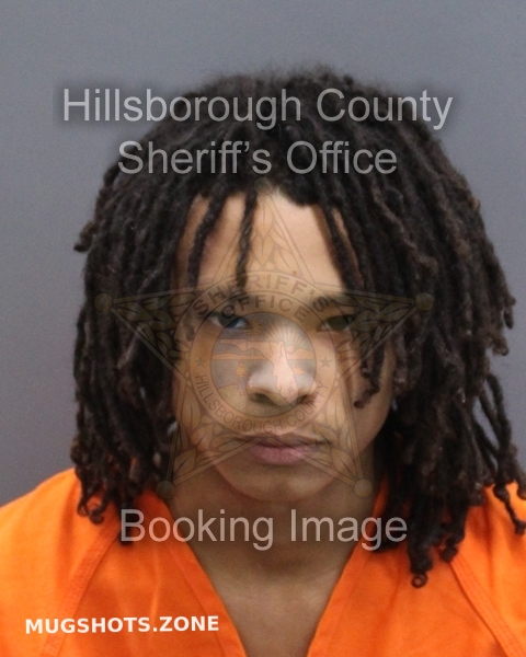GABRIEL ELIJAH 11/12/2025 - Hillsborough County Mugshots Zone