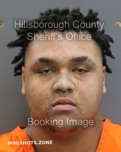 YOUNG JAVON 11/16/2025 - Hillsborough County Mugshots Zone