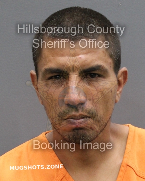 PAGAN ISMAEL JR 11/17/2025 - Hillsborough County Mugshots Zone