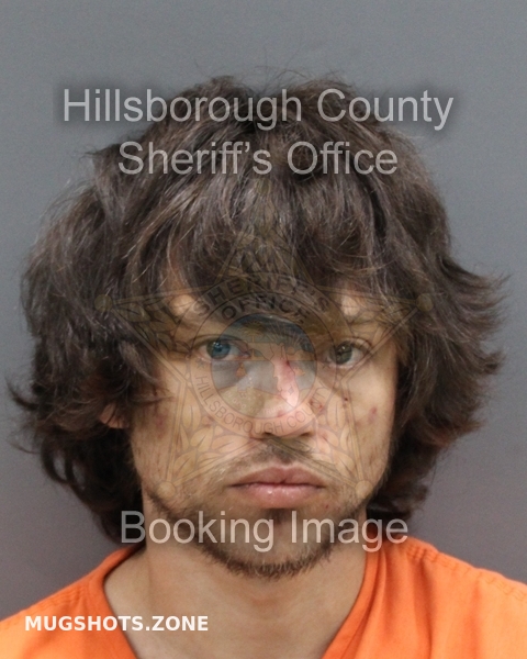 FORBES DANIEL JR 12/01/2025 - Hillsborough County Mugshots Zone