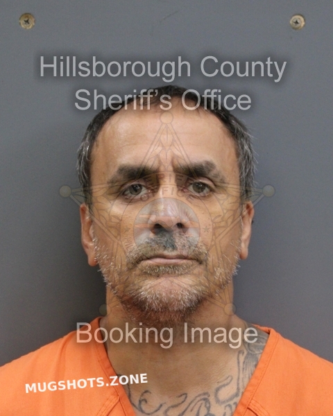 DEJESUS HECTOR 12/01/2025 - Hillsborough County Mugshots Zone