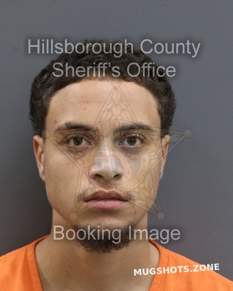 GIBSON DARIAN 12/03/2025 - Hillsborough County Mugshots Zone