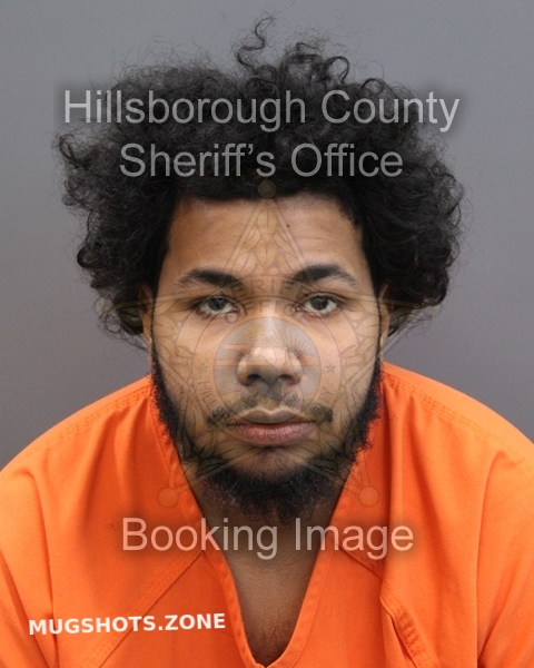 LOWE BLAKE 12/04/2025 - Hillsborough County Mugshots Zone