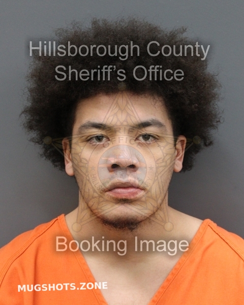 WORKMAN TAVION 01/07/2026 - Hillsborough County Mugshots Zone