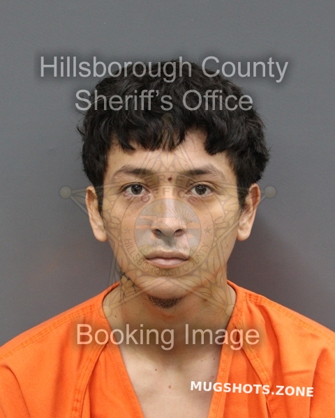 PADILLA ANDINO ANGEL 01/08/2026 - Hillsborough County Mugshots Zone