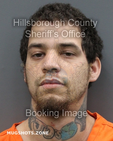 ALICEA LUIS 01/13/2026 - Hillsborough County Mugshots Zone