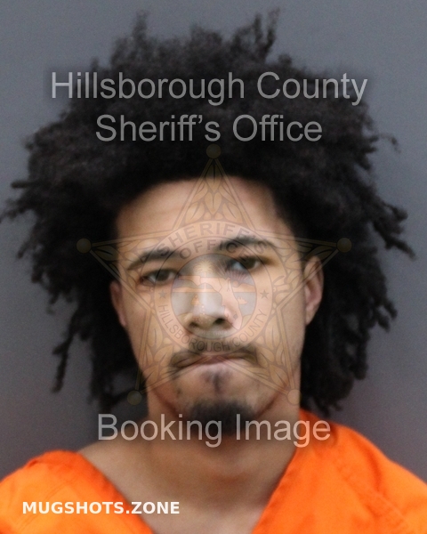 MCDANIEL JAYDEN 01/15/2026 - Hillsborough County Mugshots Zone