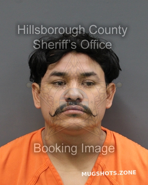 WILLIAMS MONTIEL 01/18/2026 - Hillsborough County Mugshots Zone