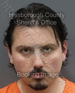 CAMPARA DZENAN 01/24/2026 - Hillsborough County Mugshots Zone