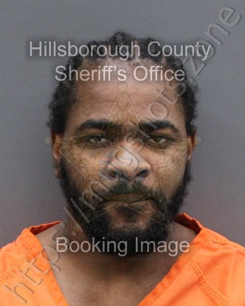SOLOMON CAMERON 01/25/2026 - Hillsborough County Mugshots Zone