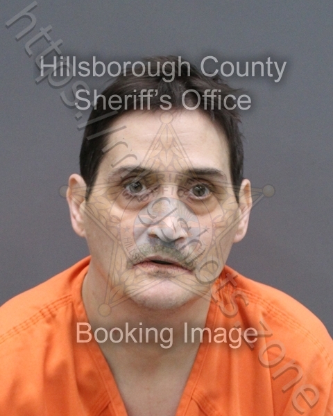 GALLICHIO RONALD JR 01/27/2026 - Hillsborough County Mugshots Zone