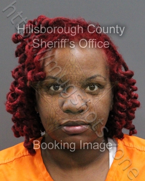 LANGSTON NAKIA NALEICIA 03/05/2026 - Hillsborough County Mugshots Zone