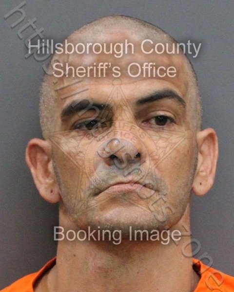 BROCHE JESUS 03/10/2026 - Hillsborough County Mugshots Zone
