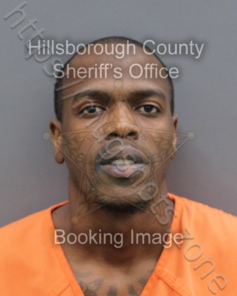 GRAHAM GARY LARUE JR 03/12/2026 - Hillsborough County Mugshots Zone