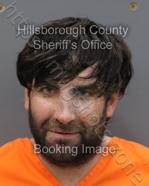 LANNON ERIC ALBERT 03/17/2026 - Hillsborough County Mugshots Zone