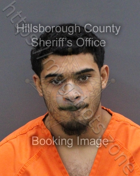 BARONE BRIAN FRANK 03/23/2026 - Hillsborough County Mugshots Zone