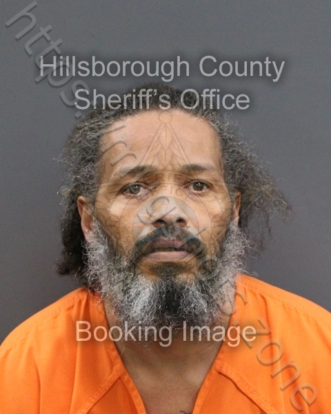 GORBEA SANTIAGO JUAN ANGEL 03/24/2026 - Hillsborough County Mugshots Zone