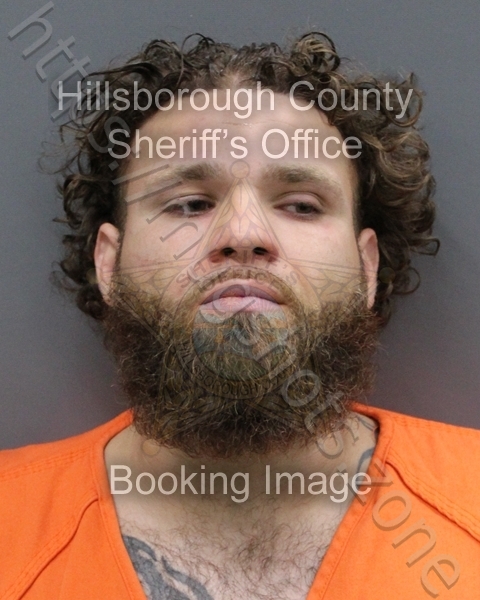 MIRANDA ISIAH VINCENT 03/24/2026 - Hillsborough County Mugshots Zone