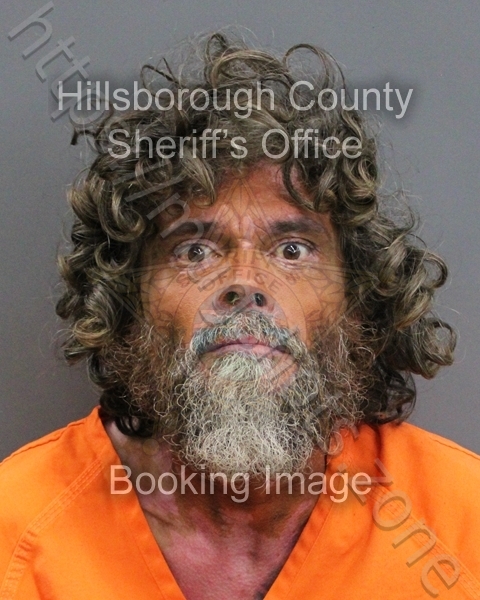 DEBI LUKE MARK ANTHONY 06/06/2026 - Hillsborough County Mugshots Zone