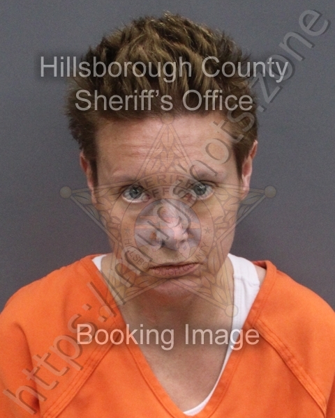 GLADE ERICA IRENE 06/06/2026 - Hillsborough County Mugshots Zone